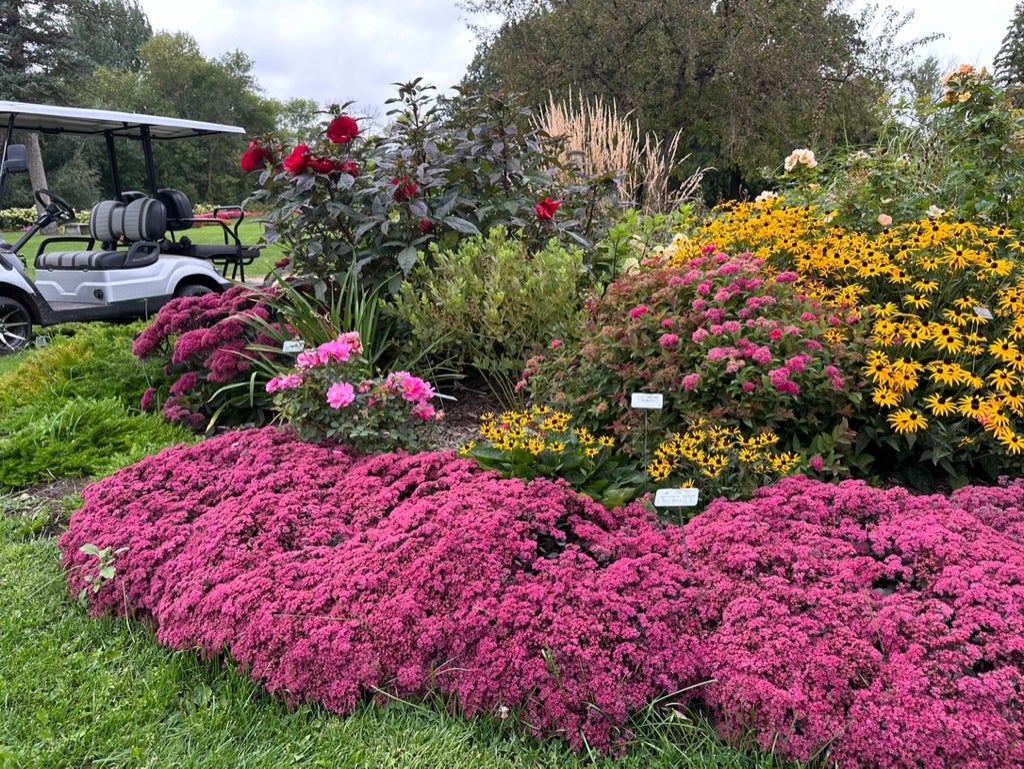 Bergeson Nursery