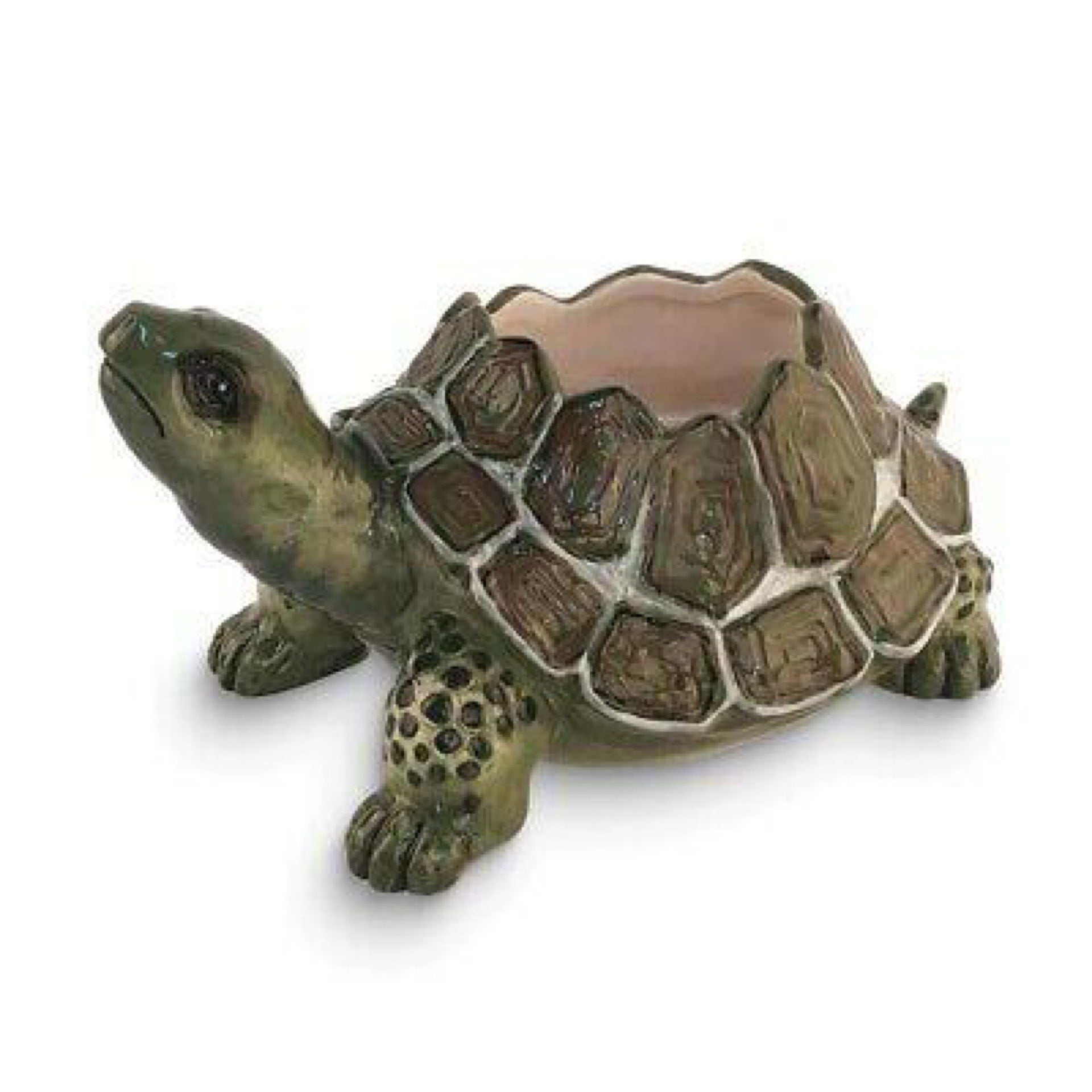 Hand-painted Ceramic Turtle Planter | Bergeson Nursery